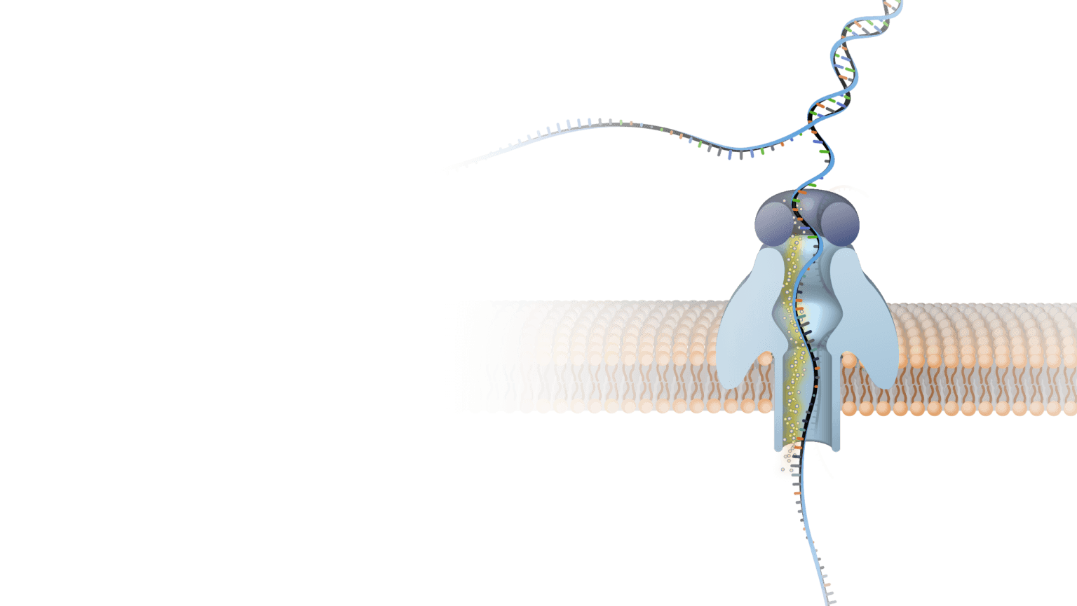Nanopore Technology | Poochon Scientific